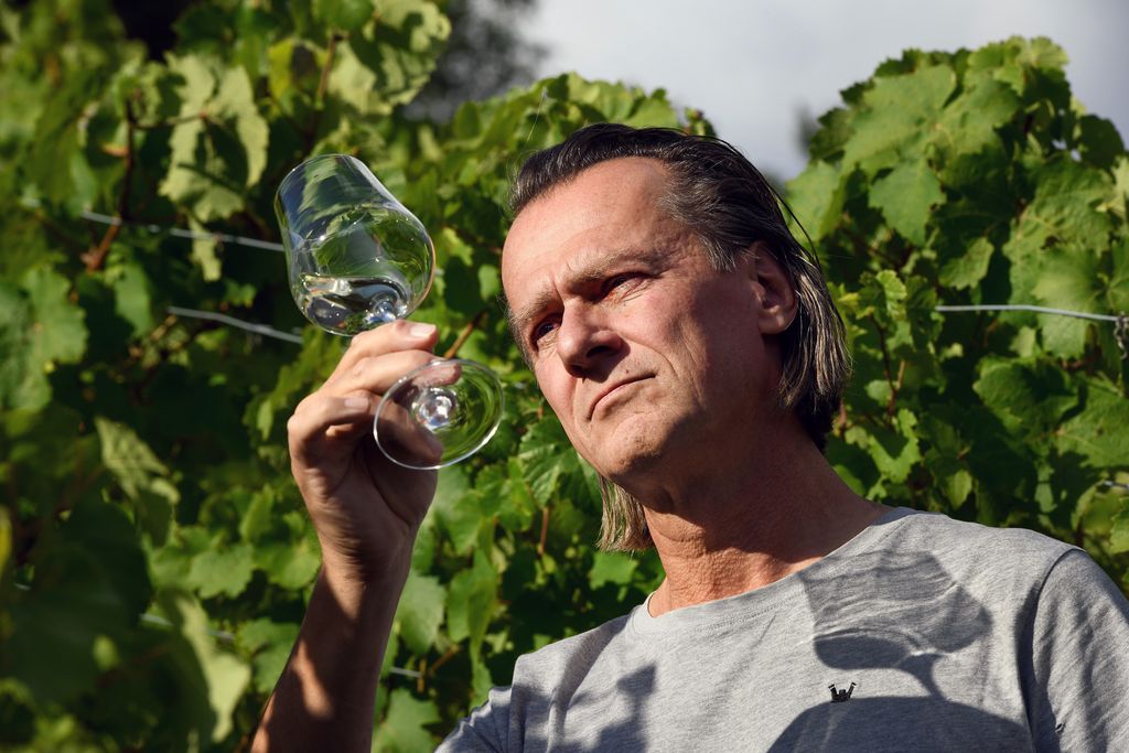 Drachenfels & Siebengebirge